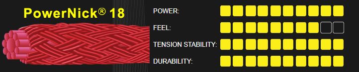 Ashaway Powernick 18 Squash String Set of Red 1.15mm 18g – The Racquet Shop